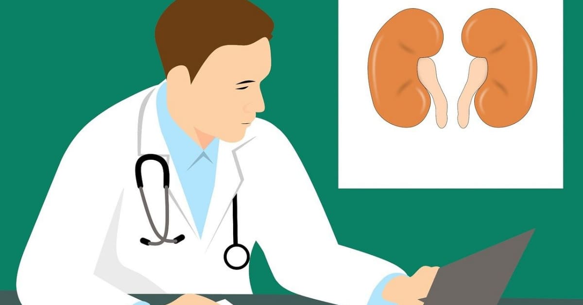 RENAL FUNCTION TEST : TYPES AND INTERPRETATION. - JITESHMD
